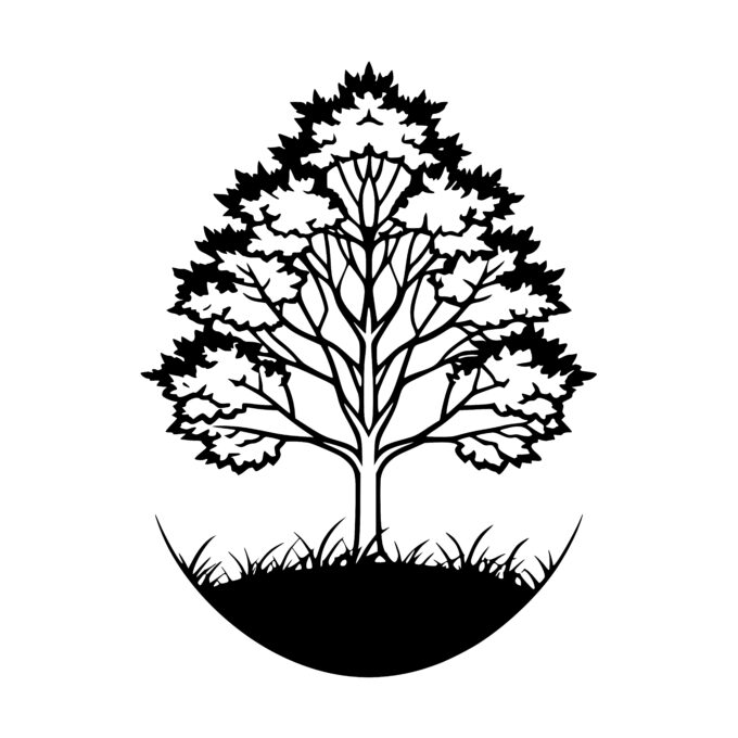 Full Canopy Tree – Creative Meadow