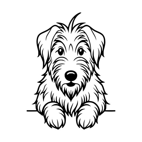 Curious Fluffy Dog – Creative Meadow