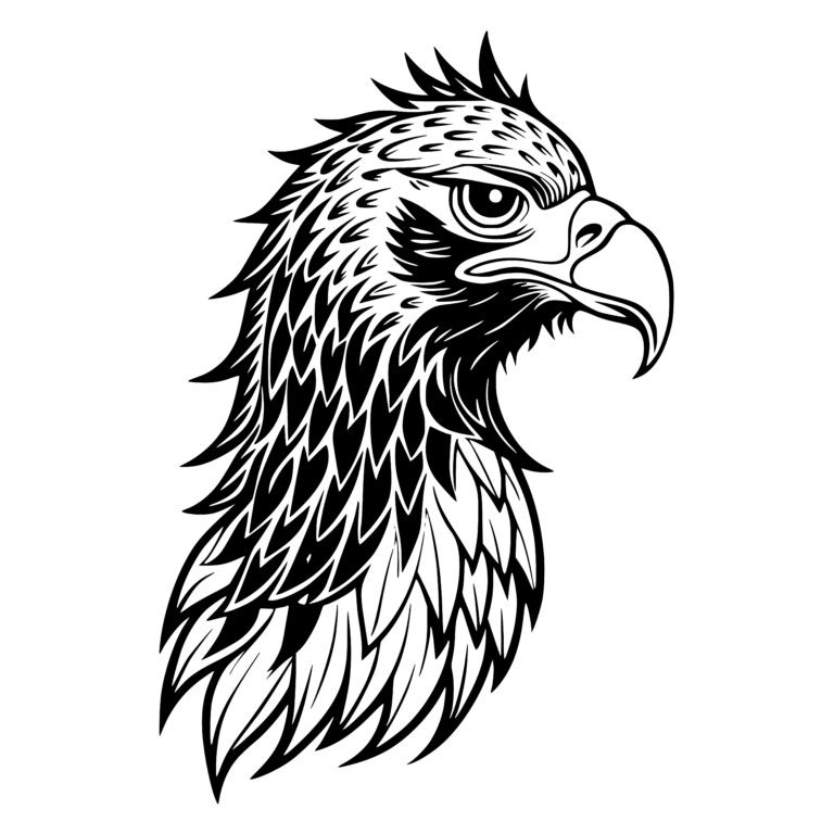 Focused Eagle Profile – Creative Meadow