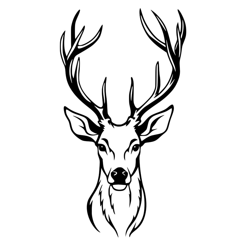 Regal Antlered Stag – Creative Meadow