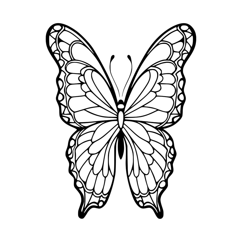 Lace Wing Butterfly – Creative Meadow