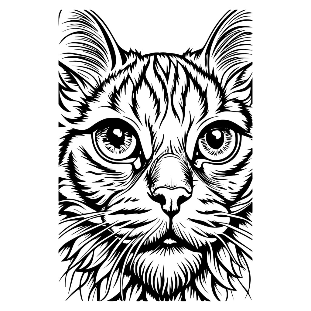 Curious Cat Close Up Design Svgpng For Cricut And Laser Use