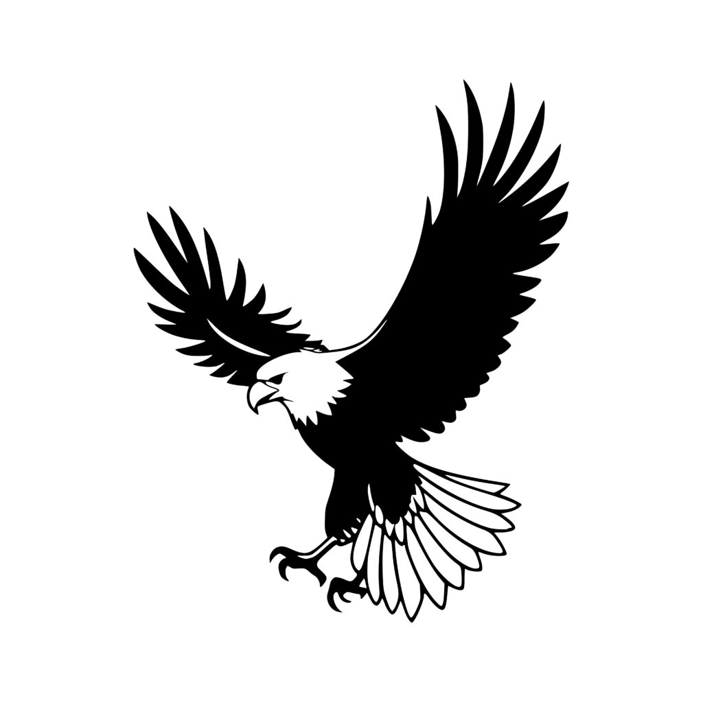 Eagle in Mid-flight – Creative Meadow
