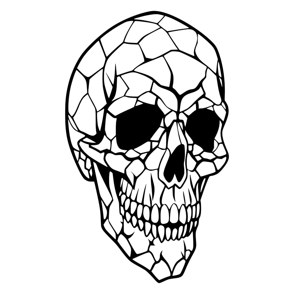 Fragmented Skull Design – Creative Meadow