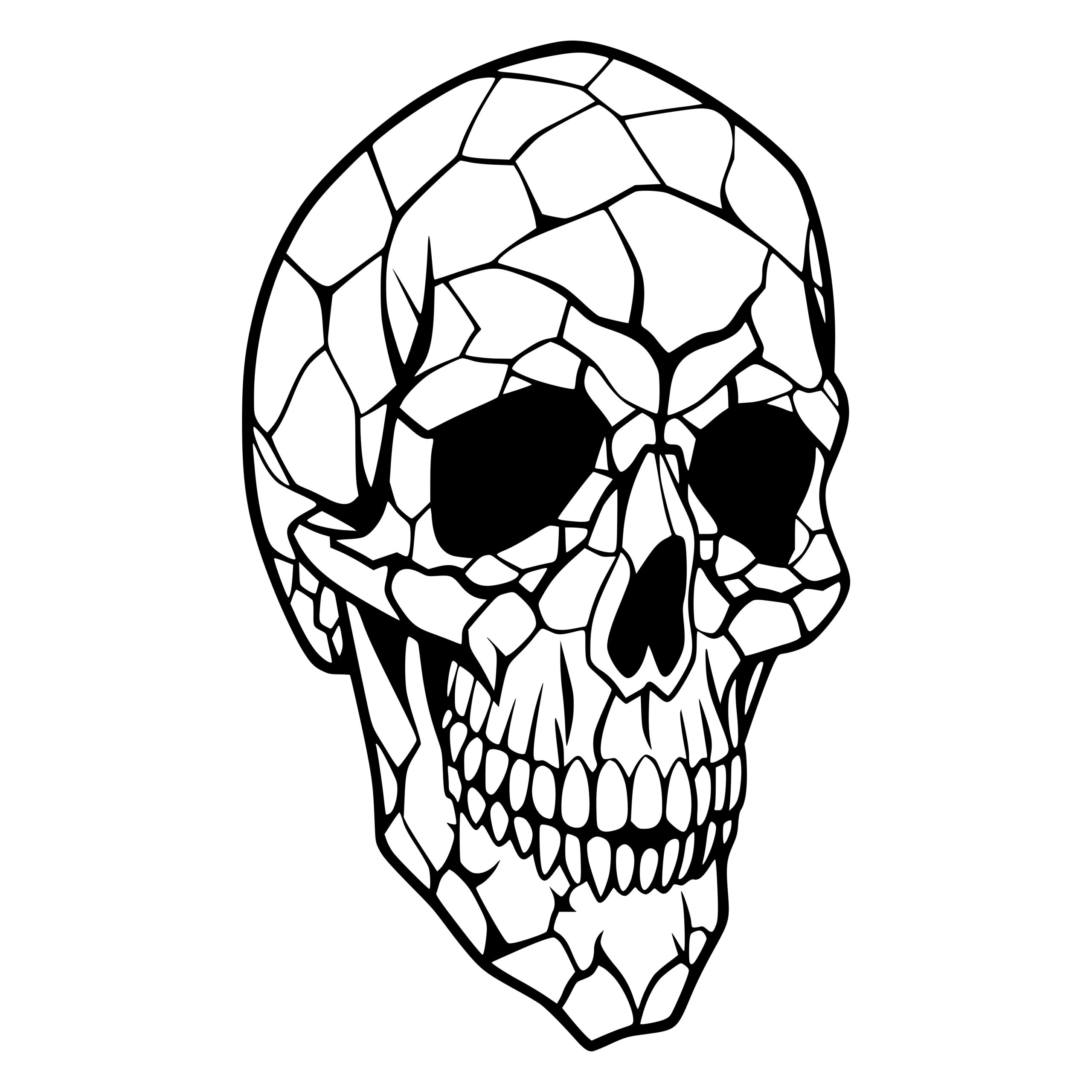 Fragmented Skull Design – Creative Meadow