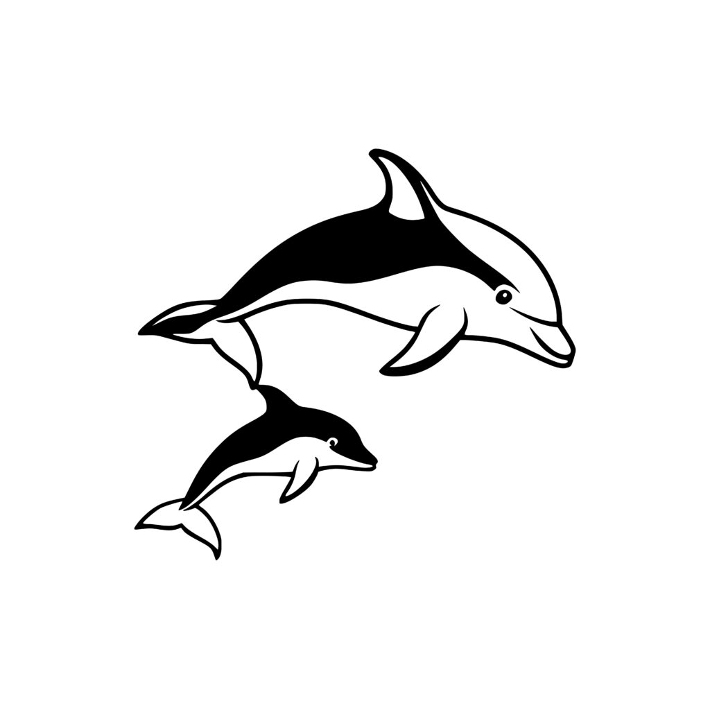 Dolphin Duo – Creative Meadow