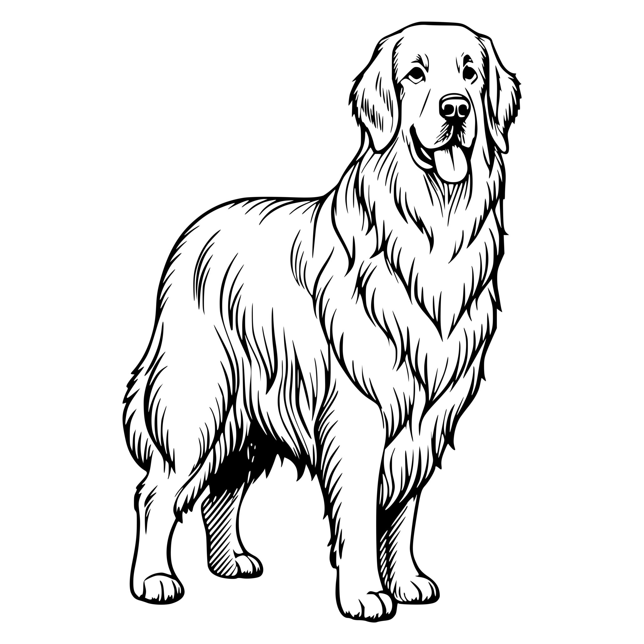 Confident Golden Buddy – Creative Meadow