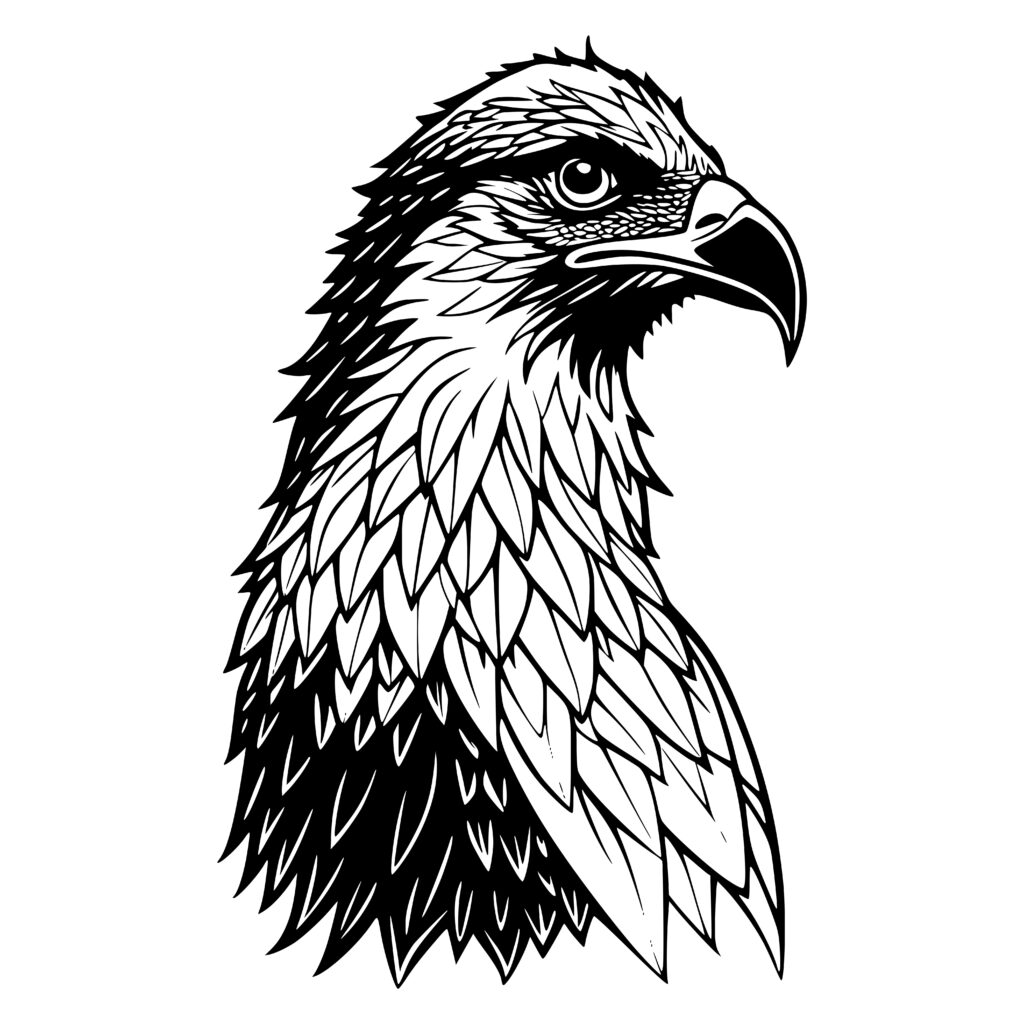 Eagles Fierce Gaze – Creative Meadow