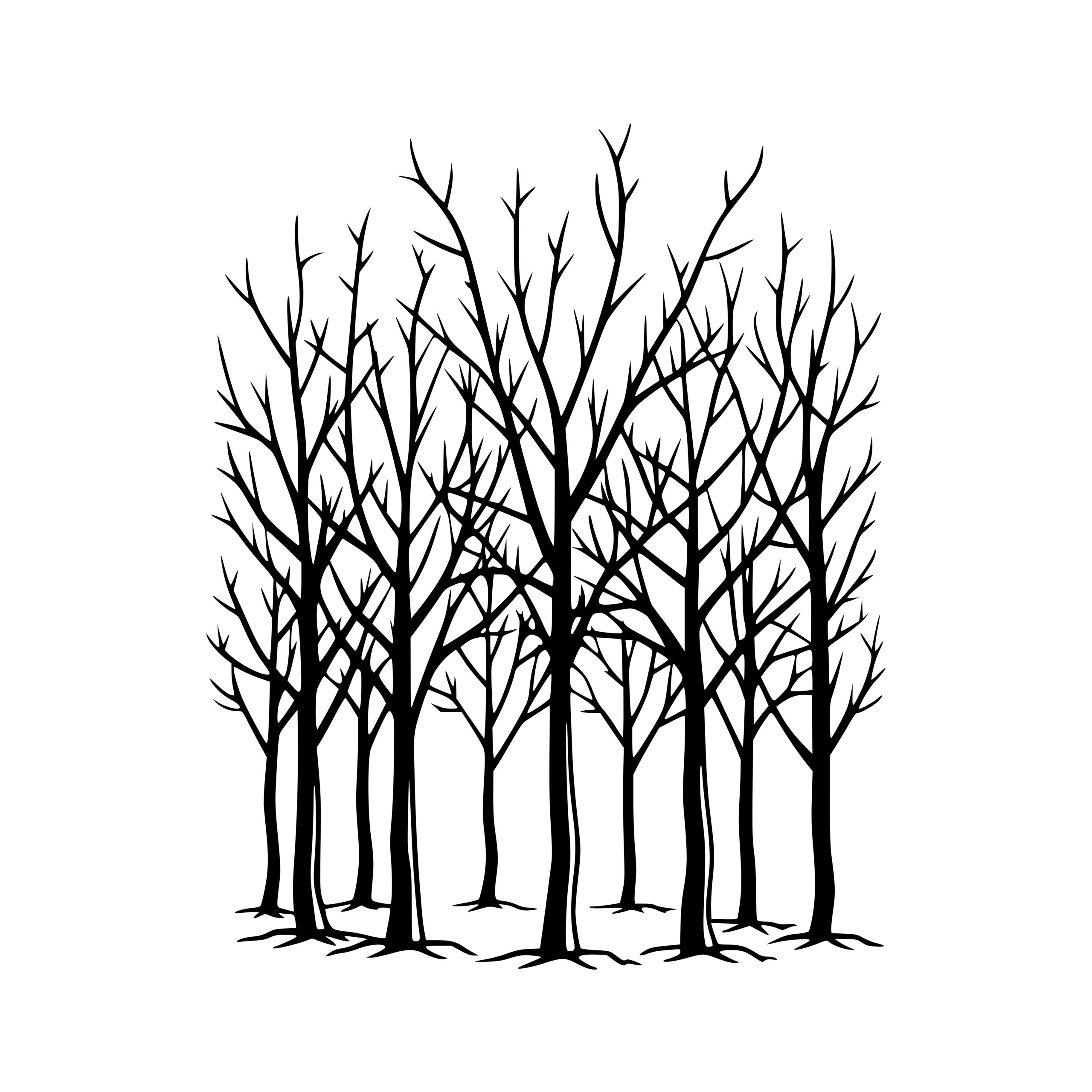 Silent Winter Grove – Creative Meadow