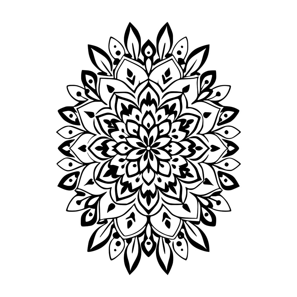 Radiant Petal Burst – Creative Meadow