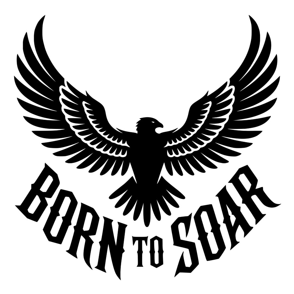 Eagles Fearless Flight – Creative Meadow