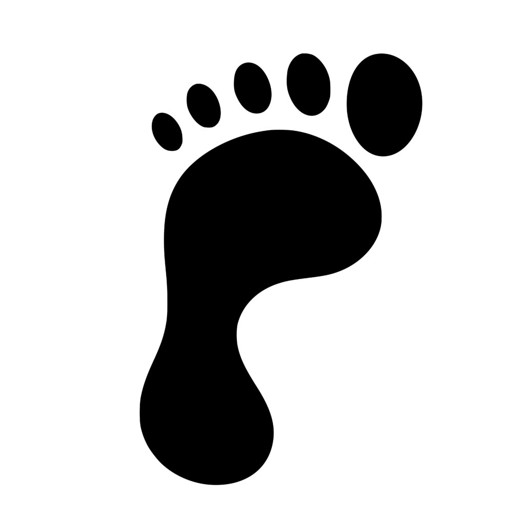 Footstep Journey – Creative Meadow