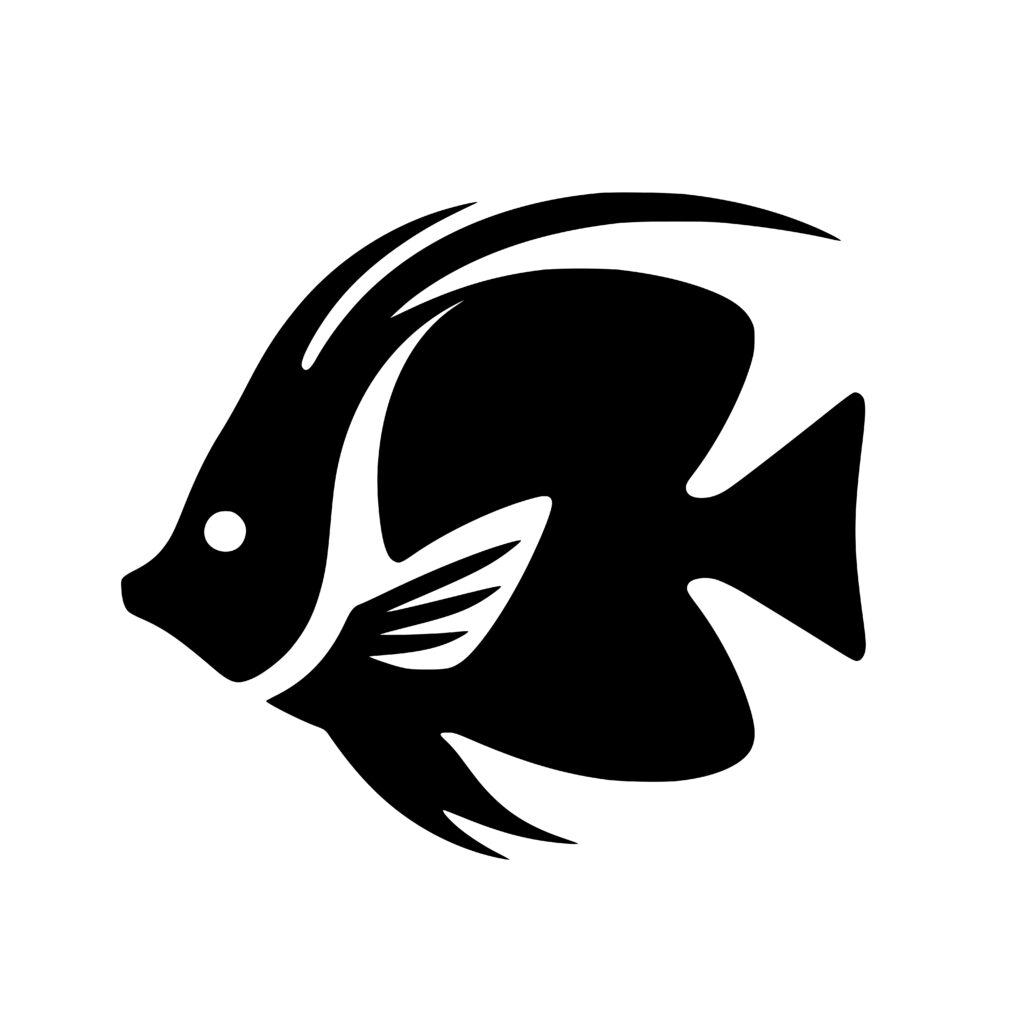 Swift Swimming Fish – Creative Meadow