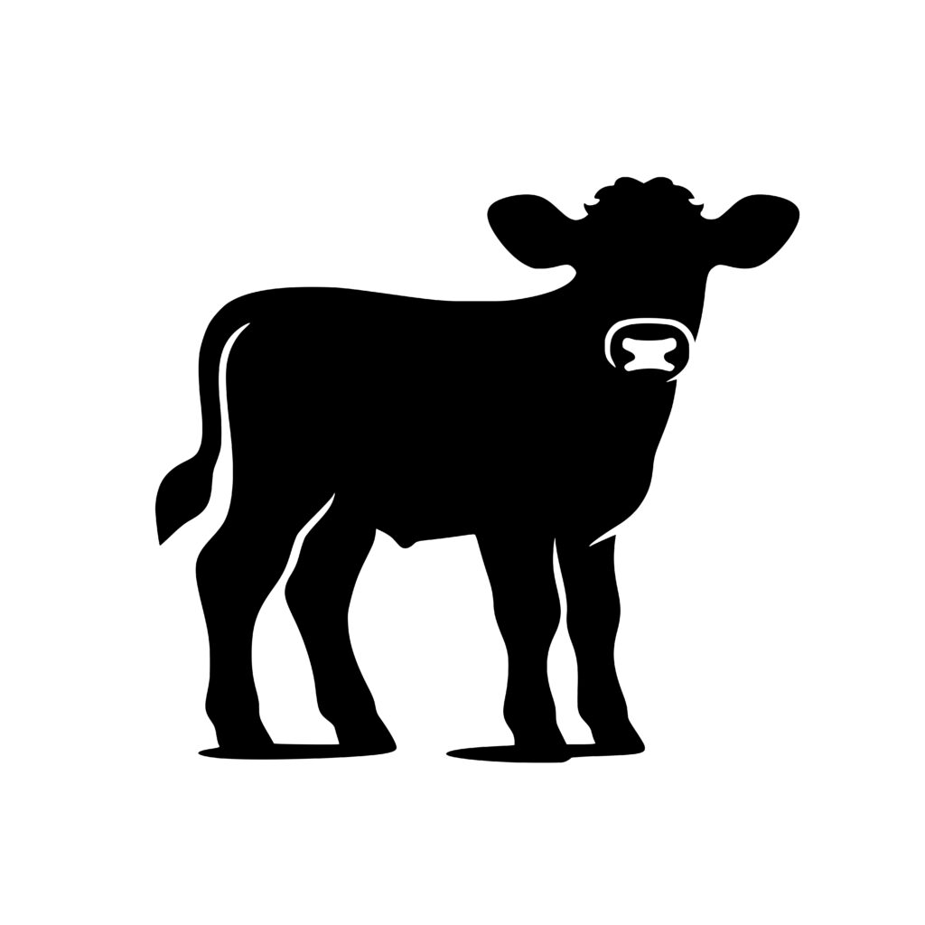 Curious Calf Outline – Creative Meadow