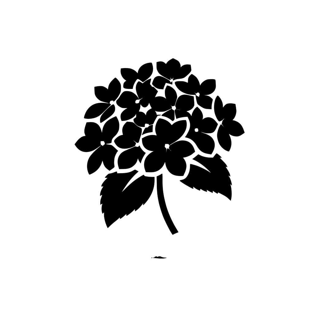 Hydrangea Blossom Cluster – Creative Meadow