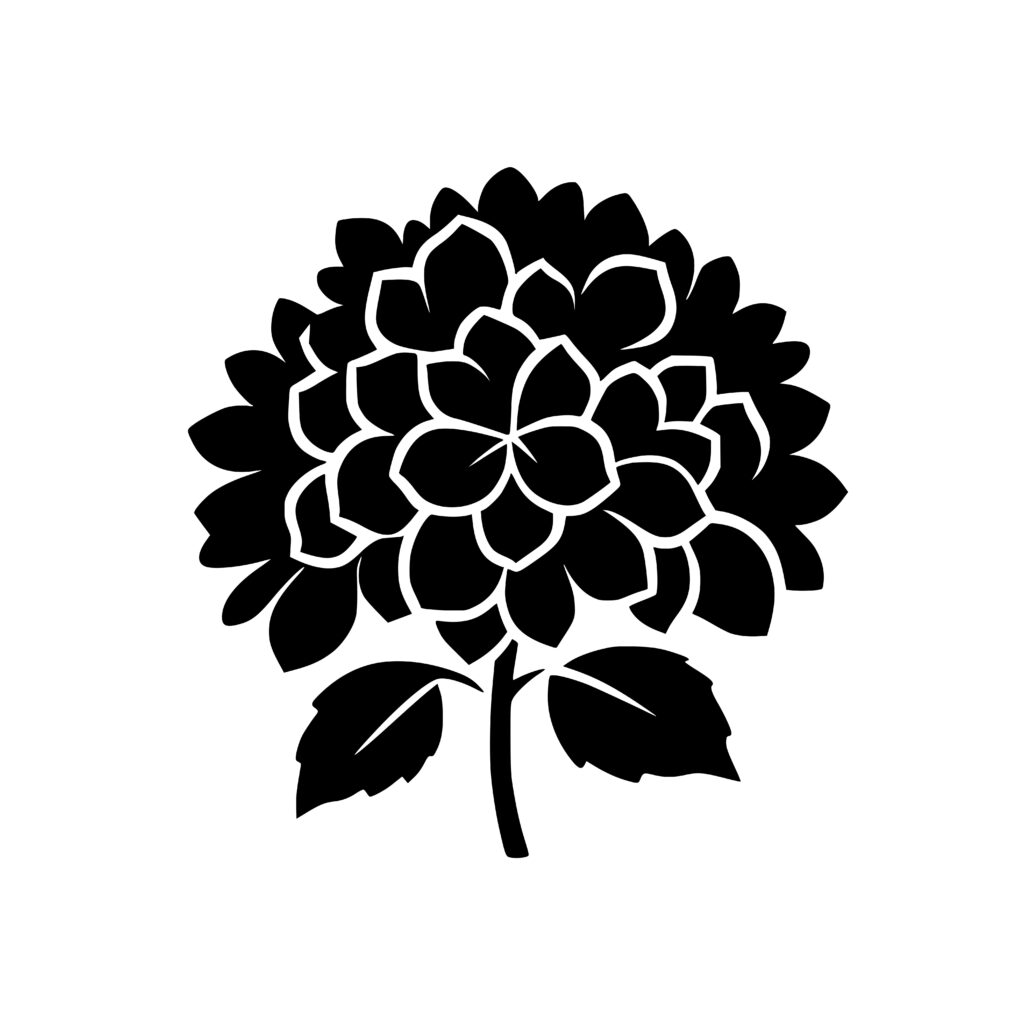 Hydrangea Elegance – Creative Meadow