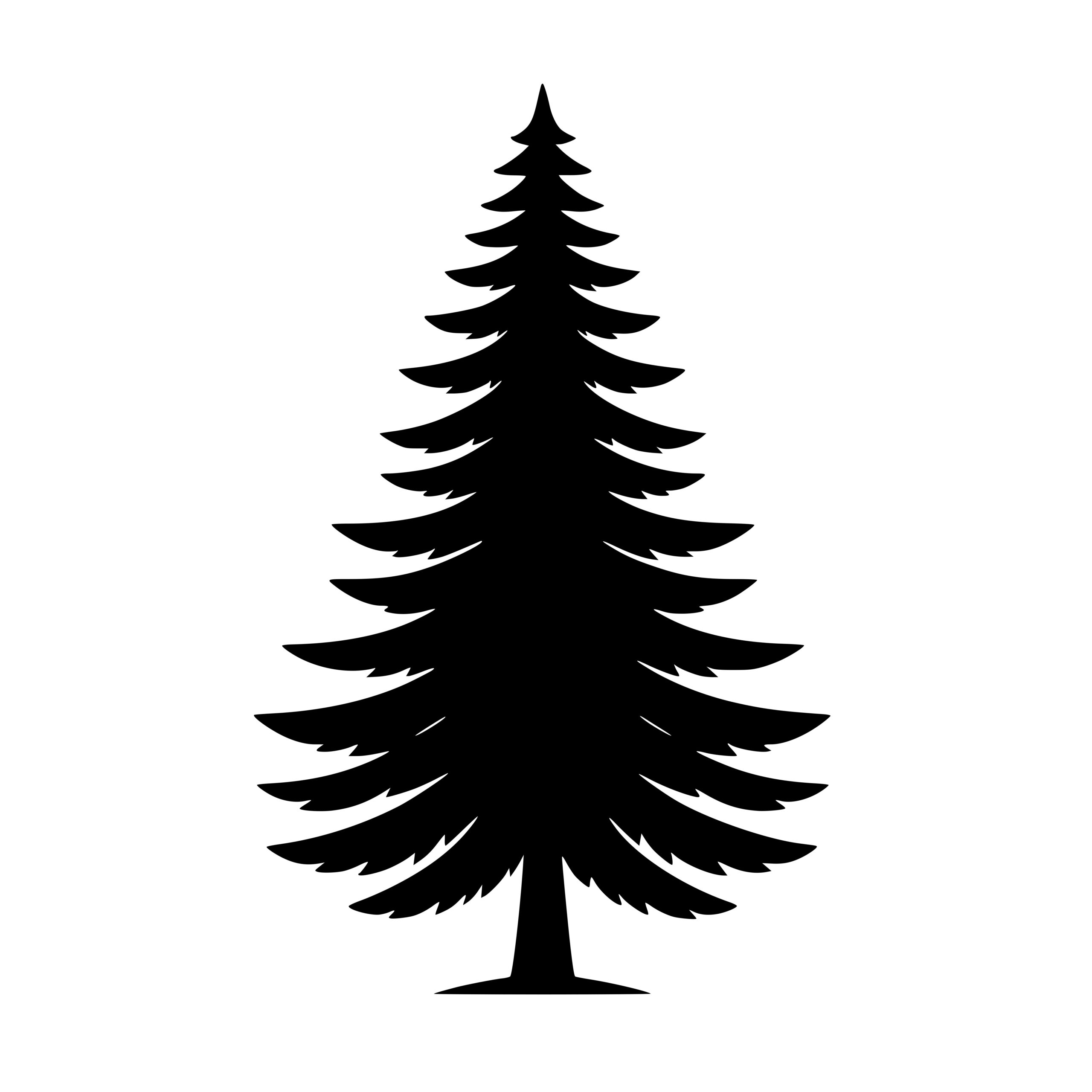 Elegant Pine Shape – Creative Meadow