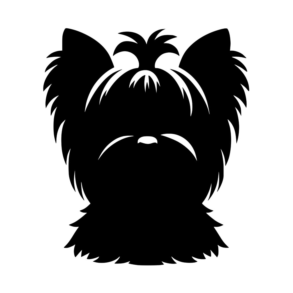 Fluffy Yorkie Face – Creative Meadow
