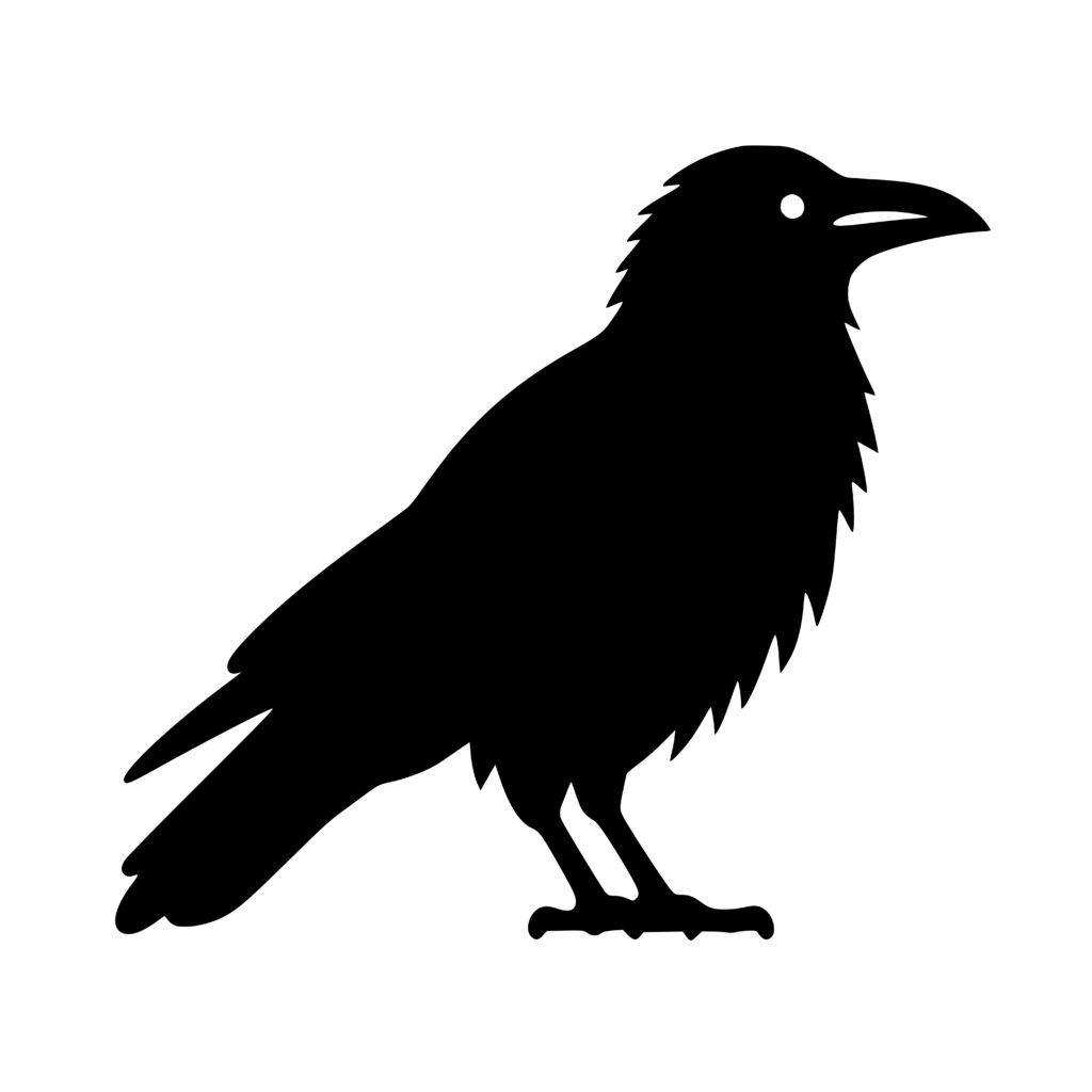 Raven in Profile – Creative Meadow