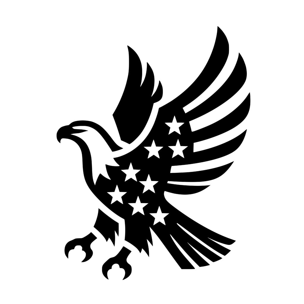 Soaring Star Eagle – Creative Meadow