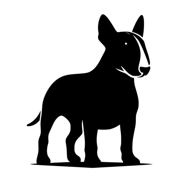 Bold Bull Terrier Stance – Creative Meadow