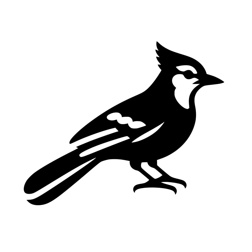Crested Blue Jay Silhouette – Creative Meadow