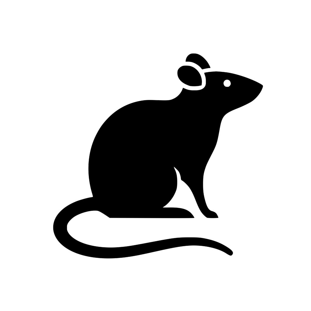 Curious Little Mouse – Creative Meadow