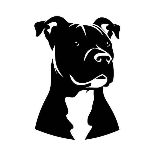 Confident Dog Stare – Creative Meadow