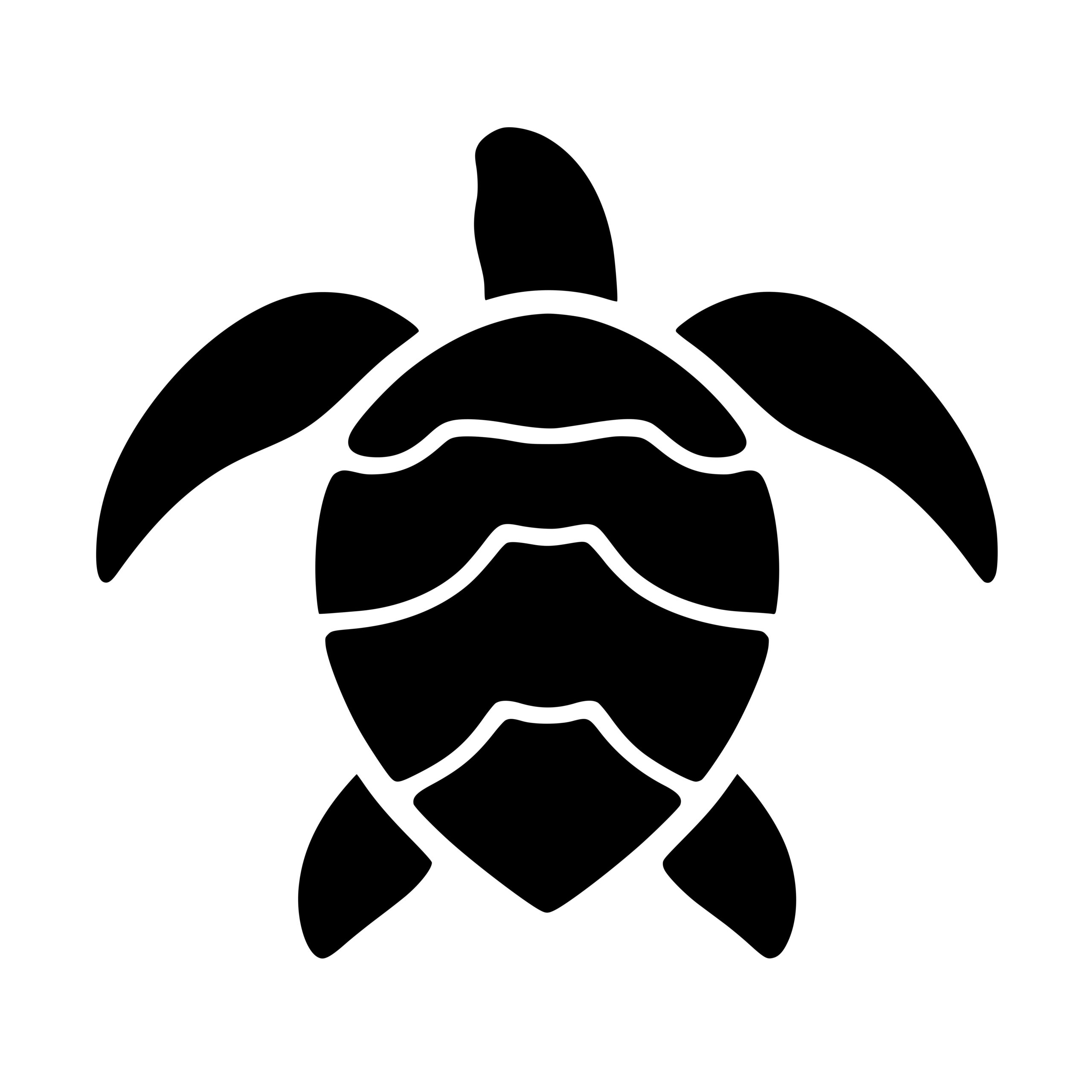 Turtle Top View – Creative Meadow