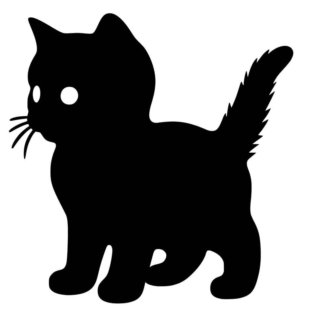 Curious Cat Profile – Creative Meadow