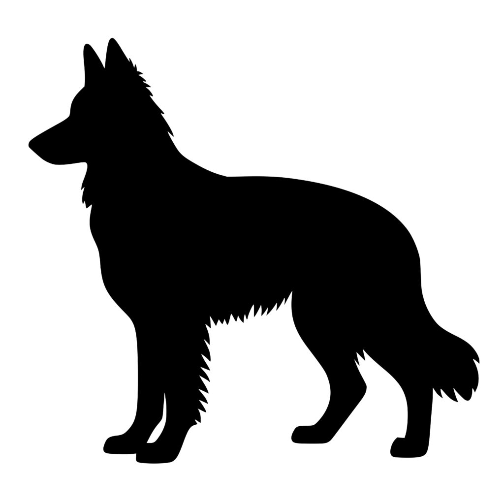 Vigilant Wolf Silhouette – Creative Meadow