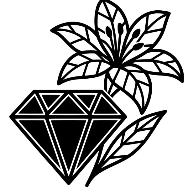 Diamond and Lily Dance – Creative Meadow