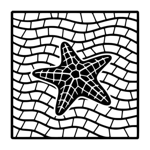 Starfish in Motion – Creative Meadow