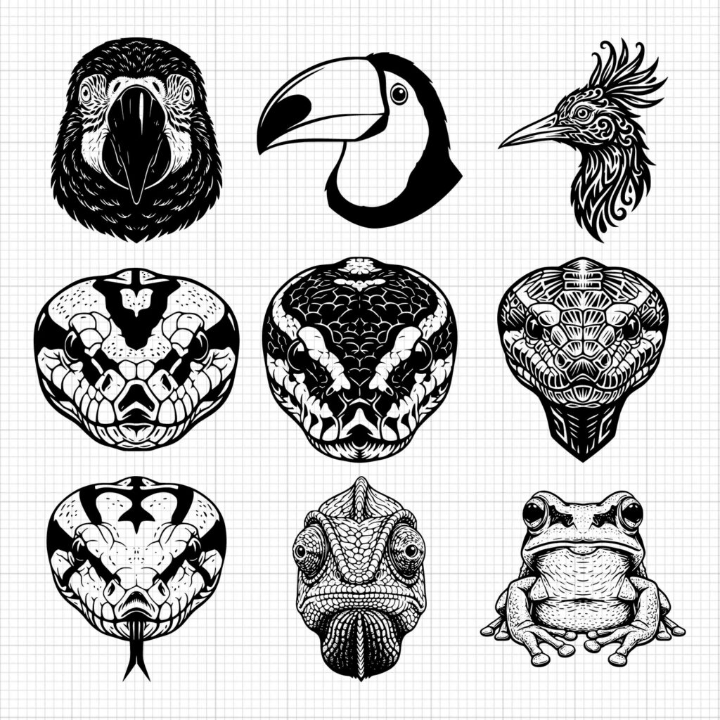 Jungle Animal Portraits – 22 Instant Download Svg Images – Creative Meadow