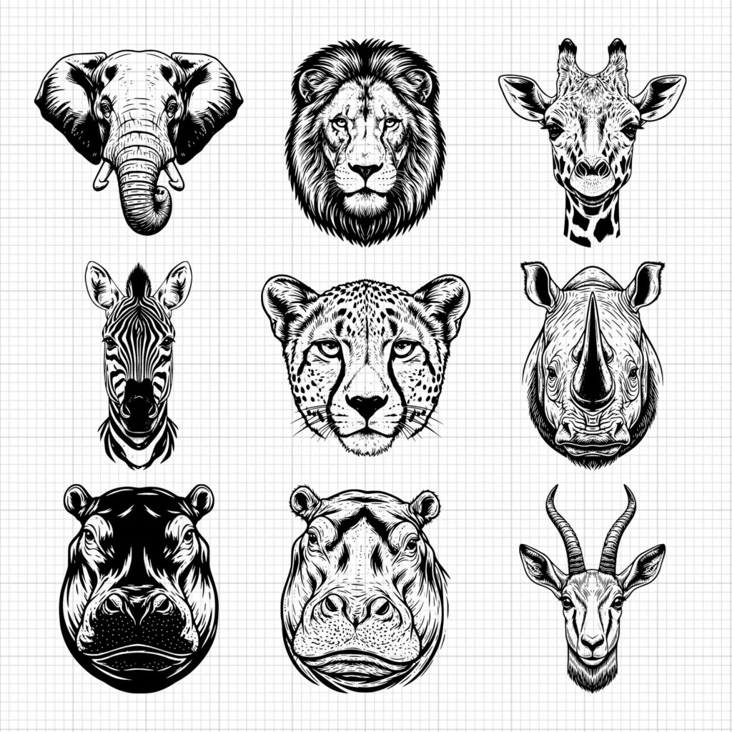Safari Animals – 26 Instant Download Svg Images – Creative Meadow